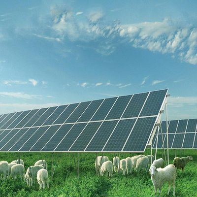 Concrete Base Solar Panel Ground Mounting Systems Double Pole Type