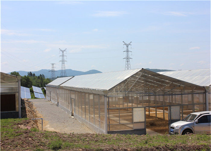 Hot Galvanized Steel Frame Solar Panel Power System , Strawberry Solar ...