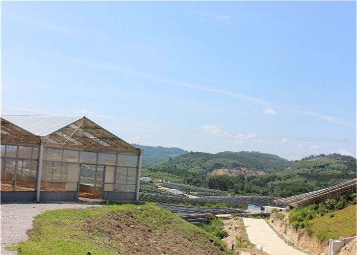 Hot Galvanized Steel Frame Solar Panel Power System , Strawberry Solar ...