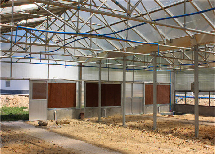 Hot Galvanized Steel Frame Solar Panel Power System , Strawberry Solar ...