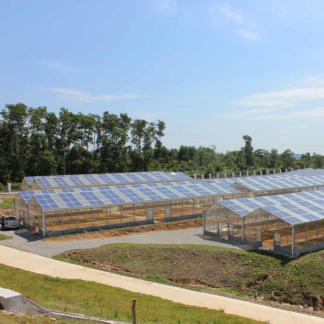 Commercial Greenhouse Solar System Electric Power Galvanized Surface ...