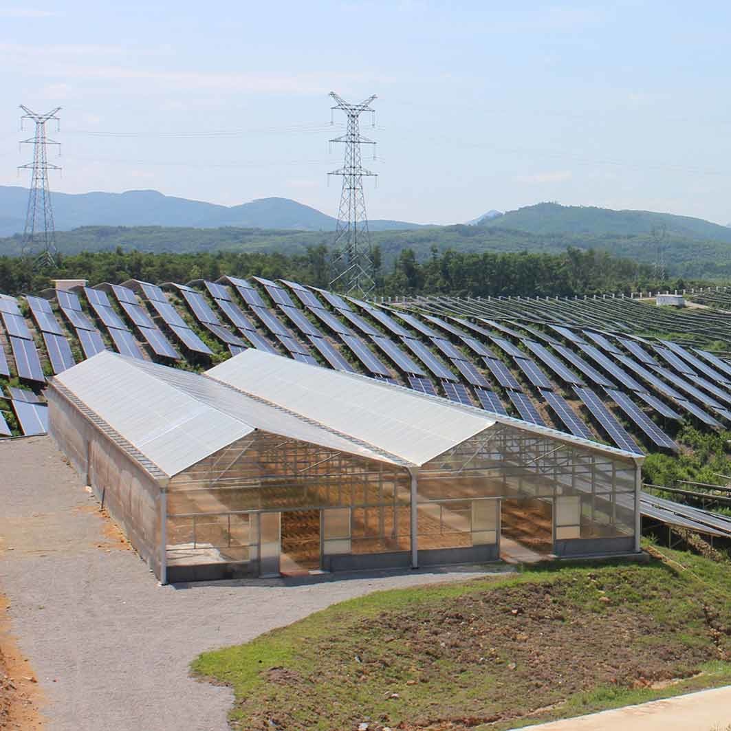 Commercial Greenhouse Solar System Electric Power Galvanized Surface ...