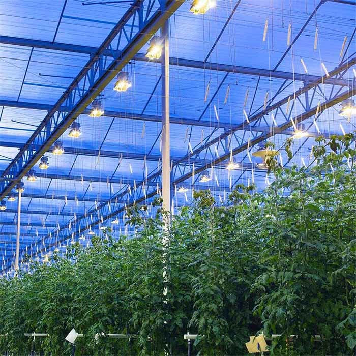 Integrated PV Panel Mounting Systems Greenhouses Thin Film Module ...