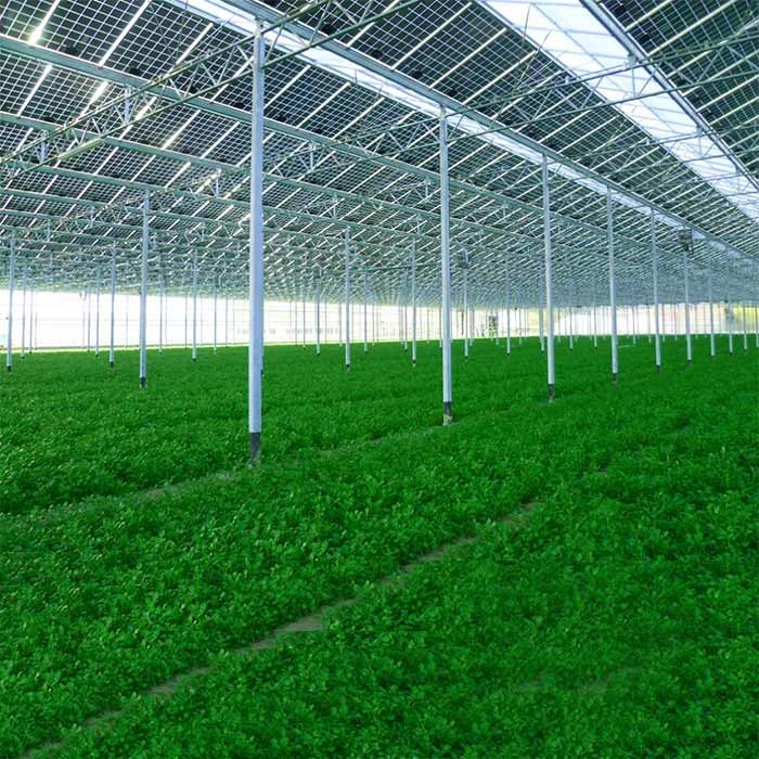 Integrated PV Panel Mounting Systems Greenhouses Thin Film Module ...